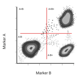 Antibodies 101: Reading a Flow Plot